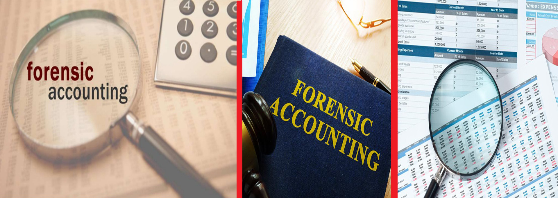 Forensic Accounting - Forensic Science Institute